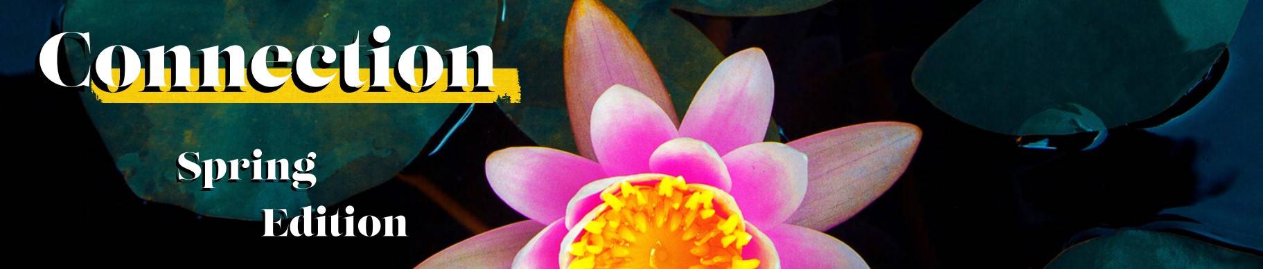 Quarterly Connection - Spring 2024 - Tri-State/Denver Buddhist Temples